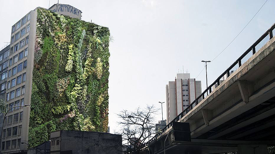 Depois dos tetos verdes, a vez dos paredões verdes | Cimento Itambé